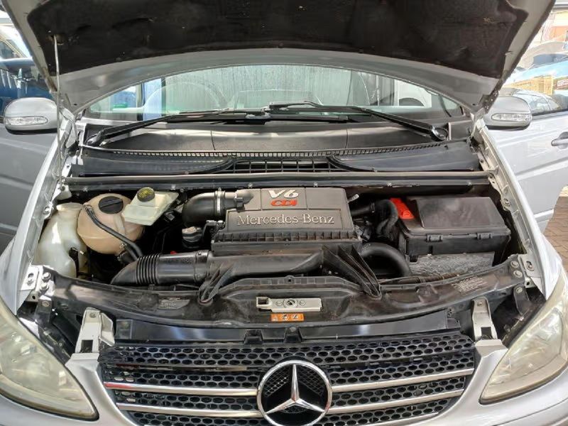 Viano 30 Cdi V6 Probleme