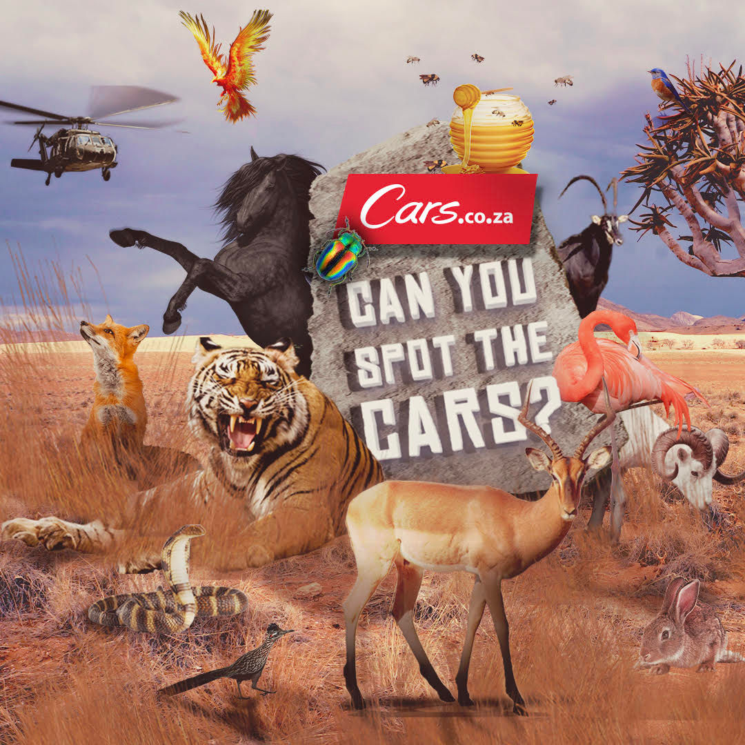 Spot The Cars Game: How Well Do You Know Your Cars?