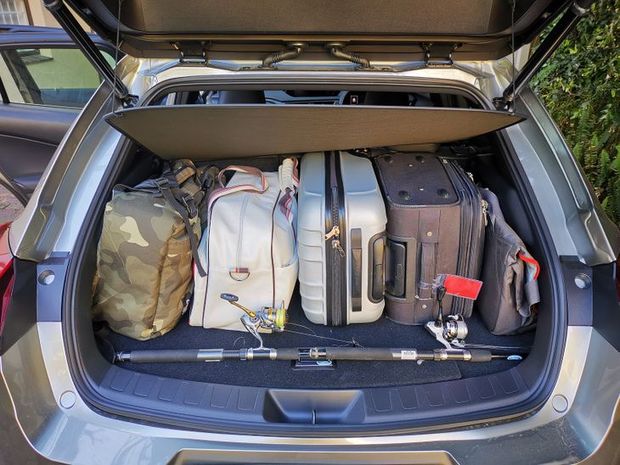 Lexus UX 250h EX (2020) Review