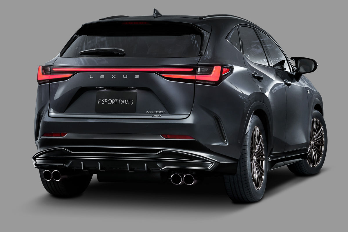 Lexus NX Looks Wicked with TRD Parts
